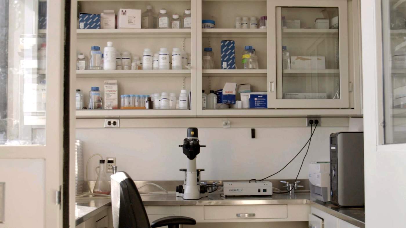 Back to the lab: how doctors and scientists are working on the ...