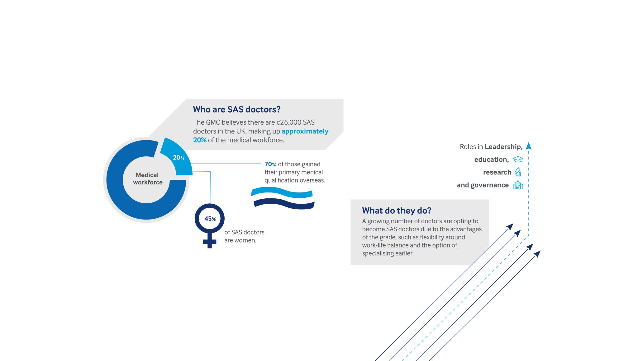 Who are SAS doctors?
