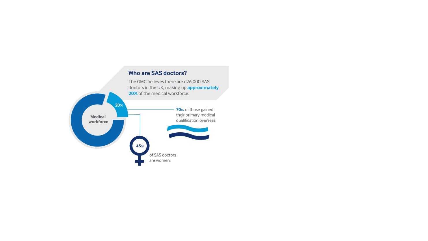 Who are SAS doctors?